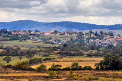 Primaria Rosia – Primaria Comunei Rosia